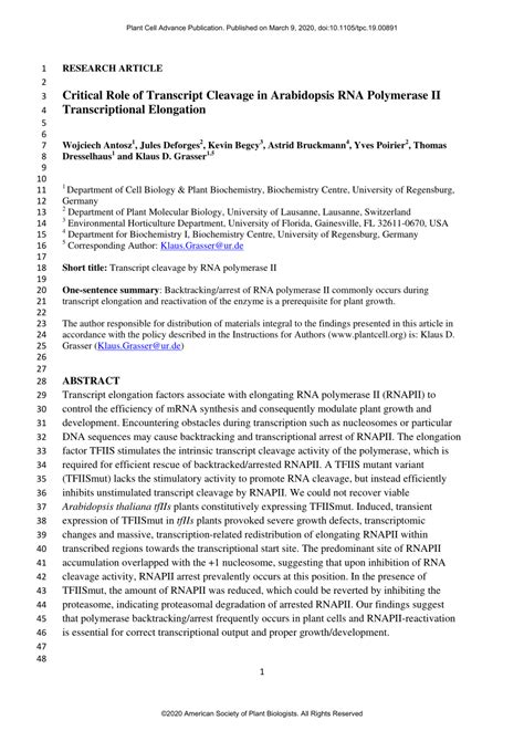 Pdf Critical Role Of Transcript Cleavage In Arabidopsis Rna Polymerase Ii Transcriptional