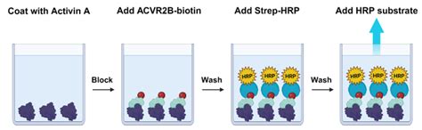 Activin A Activin Riib Biotinylated Inhibitor Screening Colorimetric