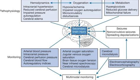 Multi Modality Neurologic Monitoring Clinical Tree