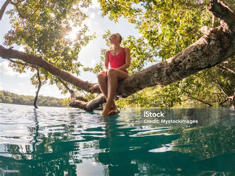Woman Relaxes On A Tree In A Tropical Cenote Enjoying Nature To The