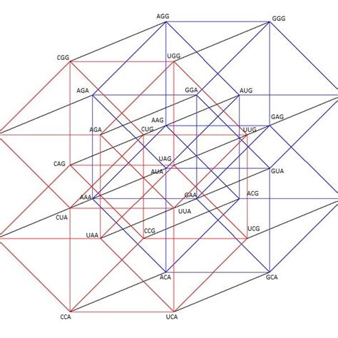 Figure A1 Five Dimensional Hypercube Nnr The Five Dimensional Download Scientific Diagram