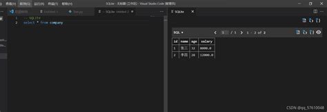 在VSCode中打开SQLite图表 python CSDN博客