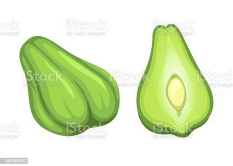 라부 시암 일명 차요테 야채 기호 전체 및 슬라이스 세트 만화 일러스트레이션 벡터 차요테에 대한 스톡 벡터 아트 및 기타 이미지 차요테 벡터 건강한 식생활 Istock