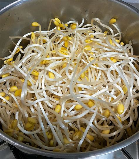 시원한 바지락 콩나물국