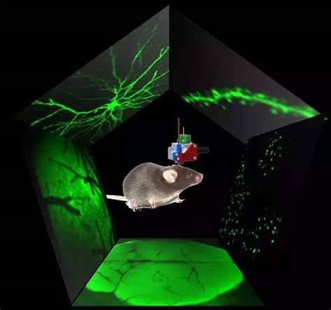 双光子大山谷图库