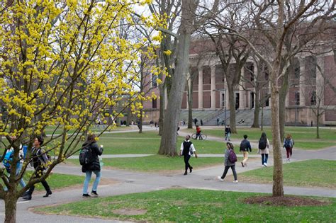 Harvard Sex Week Comes To Campus News The Harvard Crimson
