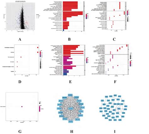 Functional Enrichment Analysis Of Degs Between Cluster 1 And Cluster 2