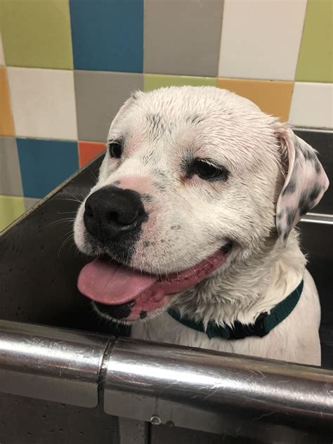 Bath Time R Aww