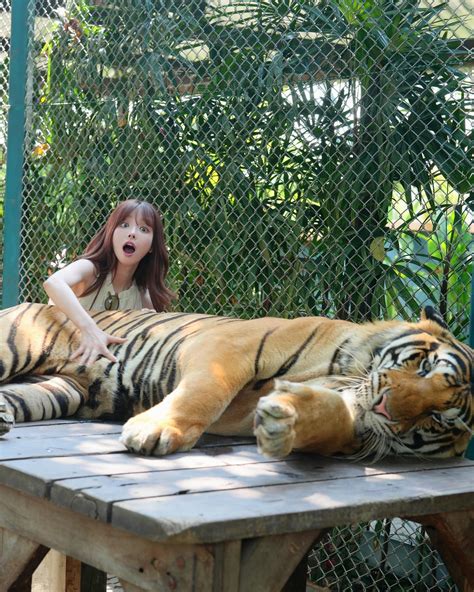 桃乃木かな ยินดีที่ไดรู้จัก🐅🇹🇭 タイと言ったら、な願望を叶えてきました！ 虎は猫っぽいし可愛かった〜！！！ 虎は小さい子から大きい子までいて各々一緒に 写真撮れるんだ