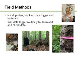 Sap Flow Calcium And What About N And P PPT