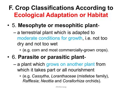 Classification Of Agricultural Crops Pdf