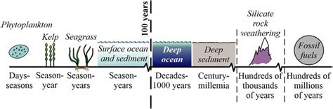 Timescale For Carbon Sequestration In Different Environments Only Download Scientific Diagram
