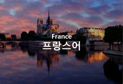 프랑스어 회화 약국에서 쓸 수 있는 프랑스어회화에 대해서 알아봅시다 네이버 블로그