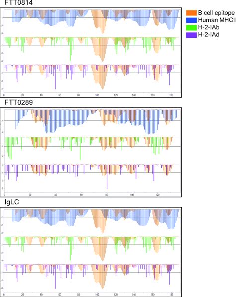 Comparison Of Human And Murine MHC II Binding Patterns And B Cell Download Scientific Diagram