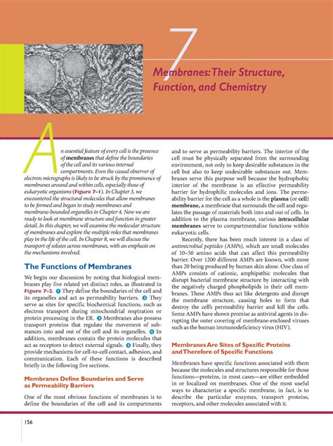 Membrane Membranes Their Structure Function And Chemistry A N Essential Feature Of