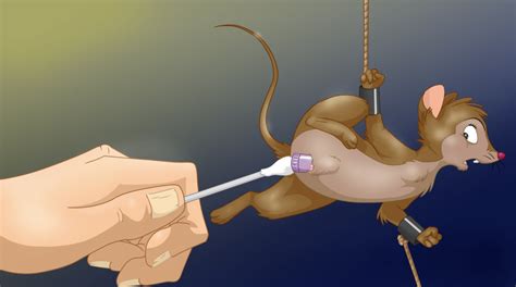 Rule 34 Amarimasi Animal Bondage Collaboration Cotton Swab Female Feral Hand Human Insertion