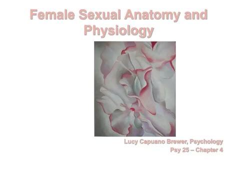 Ppt Female Sexual Anatomy And Physiology Powerpoint Presentation Free Download Id