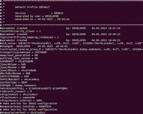 How To Solve A Broken Sap Start Profile Sap Abap Platform 1909