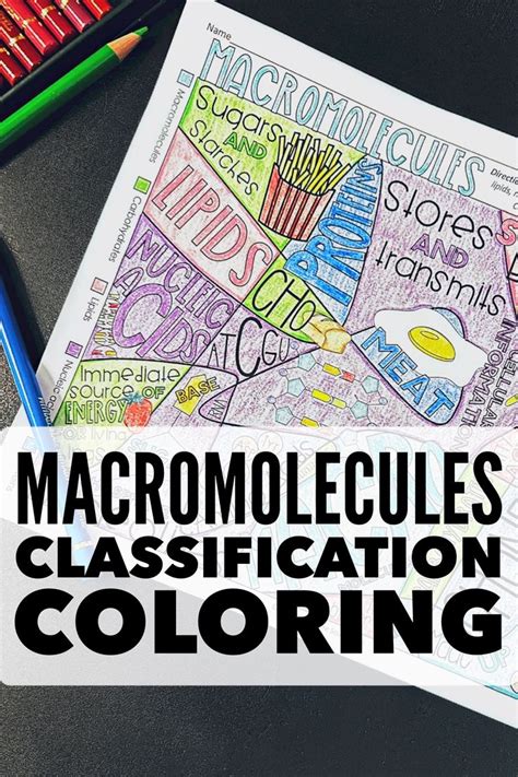 An Image Of A Coloring Book With The Words Macromoleques On It