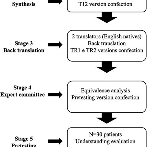 Translation Phases And Cross Cultural Adaptation Of The Instrument Download Scientific Diagram