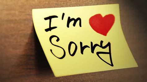 Sorry  Images And Pictures Free Download Animated Sorry Images