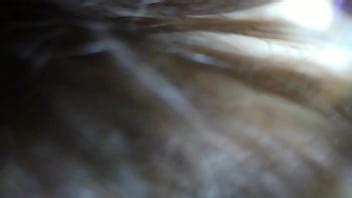 Getting Head Xnxx Com