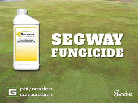 Battling Pythium Root Rot Consider Adding Pbi Gordons Segway Fungicide To Your Program