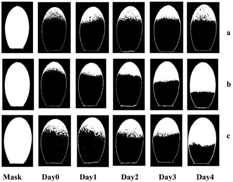 Binary Images Illustrating Of Image Morphologic Characteristics
