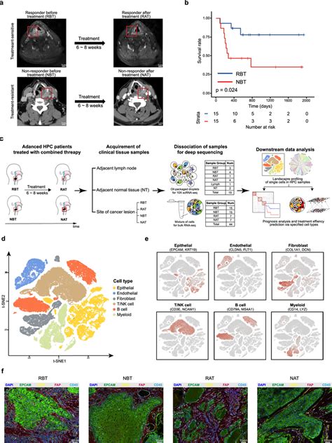 Clinical Features And Single Cell Landscapes Of Collected HPC Samples Download Scientific