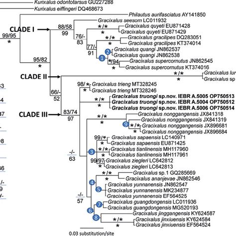 Phylogram Based On The Bayesian Analysis Of 16s Sequences Number Above