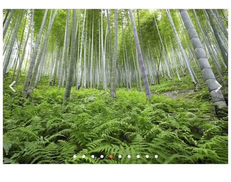 Whats New In Telerik Ui For Aspnet Core With R1 2022