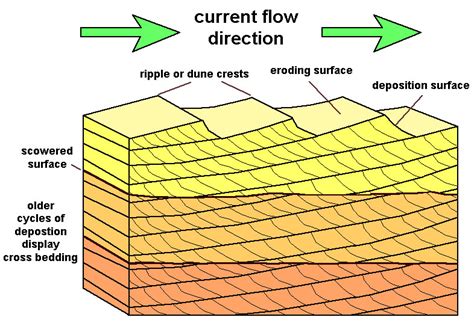 What Are Sedimentary Beds At Wendy Rodgers Blog