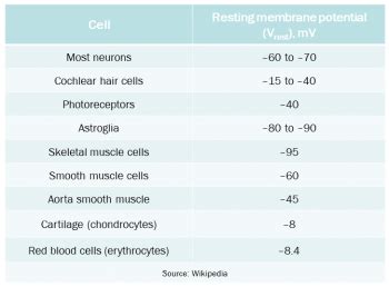 Forces Acting On Ions The Equilibrium Potential Integrated Human Anatomy And Physiology Part