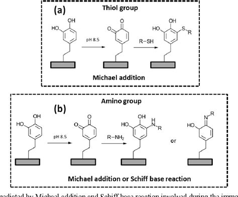 Figure 5 From Polydopamine Modified Surfaces In Biosensor Applications Semantic Scholar