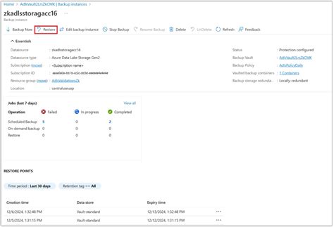 azure portal을 사용하여 azure data lake storage gen2 복원 미리 보기 azure