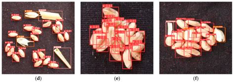 Wheat Seed Detection And Counting Method Based On Improved Yolov8 Model