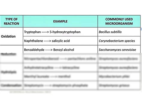 SOLUTION Microbial Transformation Studypool