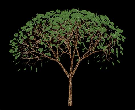 Opengl L系统 三维分形树(有纹理)l Systems Opengl Csdn博客 Opengl L系统 三维分形树(有纹理)l Systems Opengl Csdn博客