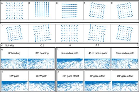 Distributed Encoding Of Curvilinear Self Motion Across Spiral Optic Flow Patternsscientific