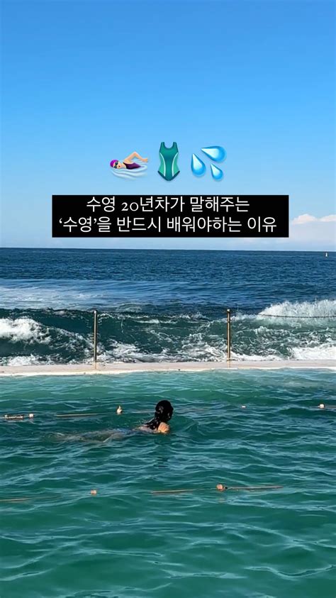 쥬니킴 떼땅이 코코볼 한 갠가 코코볼 두 갠가 🐶🐾🩵 Instagram