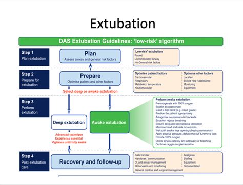 Extubation Is Risky Business Why The Conclusion Of General Anesthesia