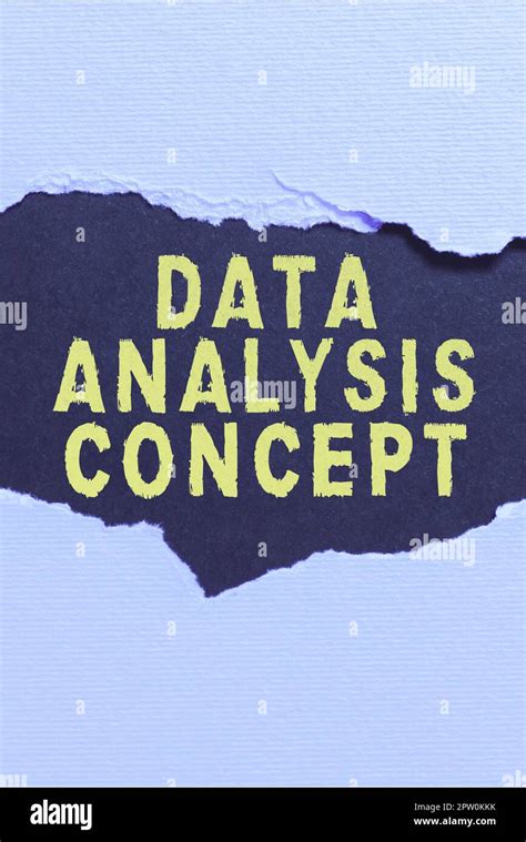 Text Showing Inspiration Data Analysis Concept Business Overview