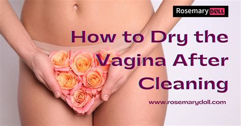 How To Dry Sex Doll Vagina Properly For Safe Use