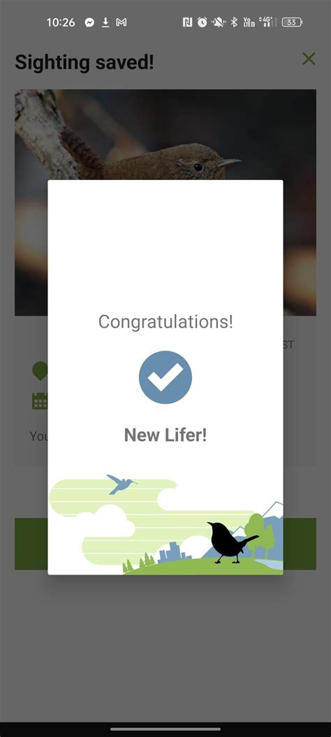 Merlin Bird App Not Updating Life List R Birding