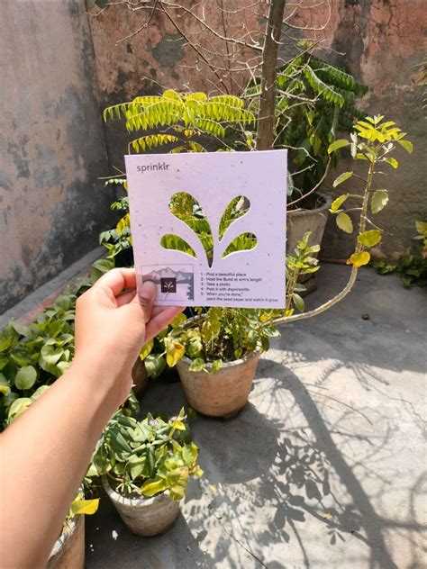 Priyanka Panchal On Linkedin Sprinklrlife