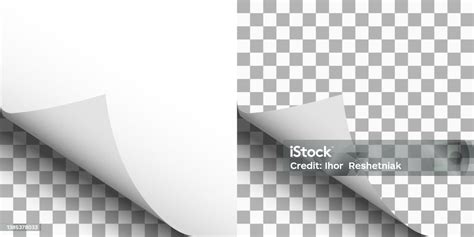 종이 컬 페이지 그림자가 있는 시트 모서리 빈 메모장 스티커의 가장자리 투명 배경에 각도가 있는 흰색 시트 템플릿입니다 책과 라벨을 위한 커버 디자인 껍질 의 페이지 벡터
