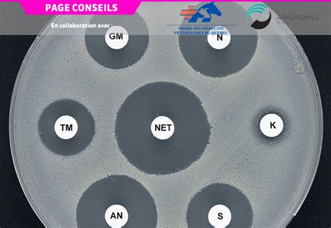 Lantibiorésistance Cest Laffaire De Tous La Terre De Chez Nous