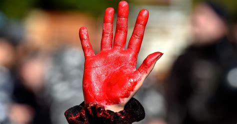 Un Informe Del Alto Comisionado De Derechos Humanos De La Onu Acusa A Israel Y Hamás De Crímenes