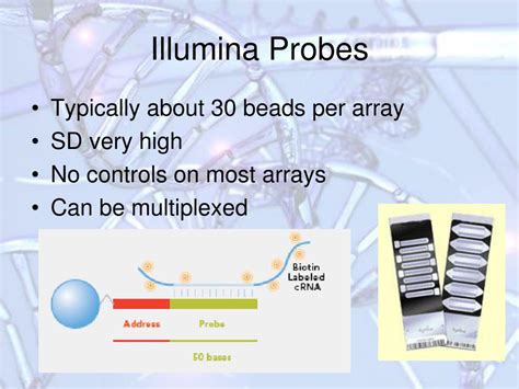 Ppt Microarray Technologies Powerpoint Presentation Free Download Id 2396126
