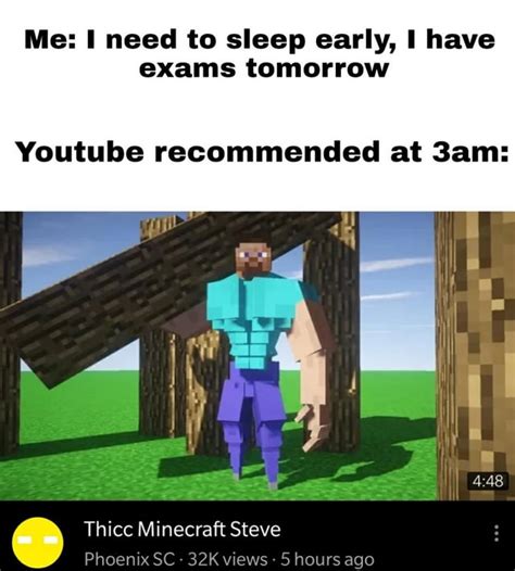 So Many Memes Here Anyways Got Any Matchups For Steve Minecraft For